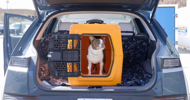 Eman Moss’s Life Without Parole: A Deep Dive into a Father's Failure ...