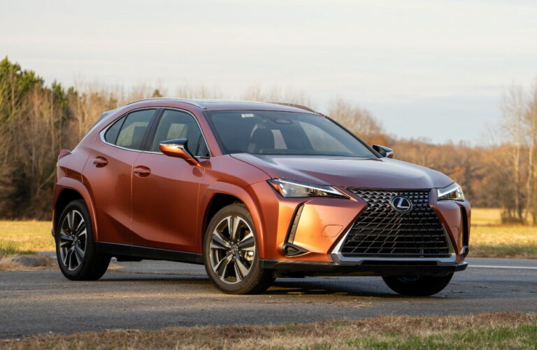 Keisha Combs: The Life and Legacy of Diddy's Sister - RafaMags